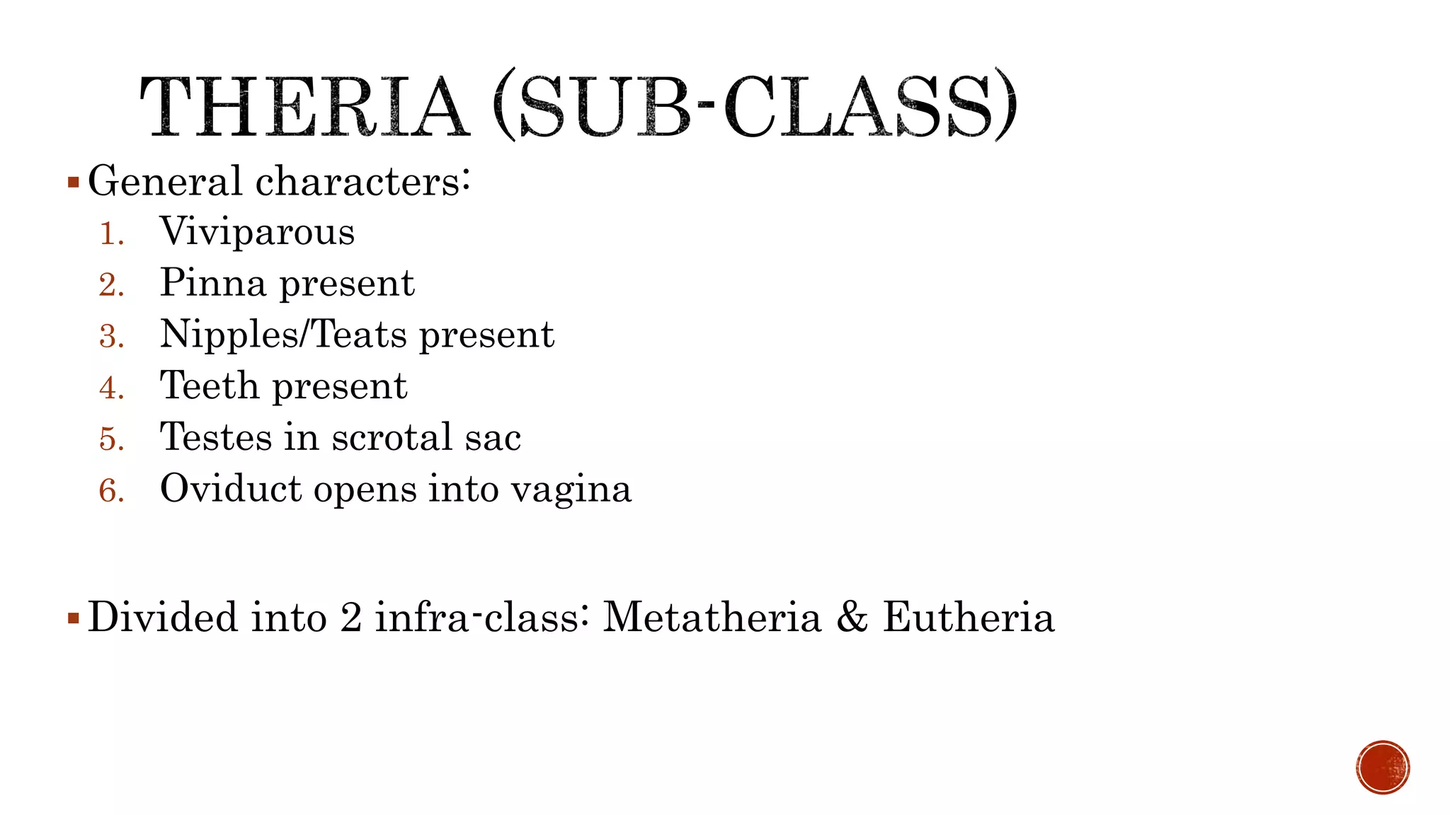 Classification of mammals, M. Sc, Zoology, University of Mumbai. | PPTX