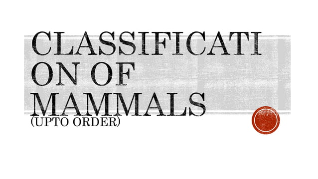 Classification of mammals, M. Sc, Zoology, University of Mumbai. | PPTX
