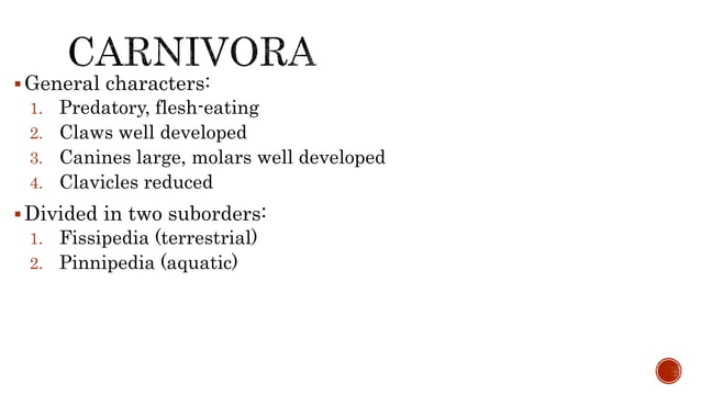 Classification of mammals, M. Sc, Zoology, University of Mumbai. | PPTX