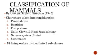 Classification of mammals, M. Sc, Zoology, University of Mumbai. | PPTX