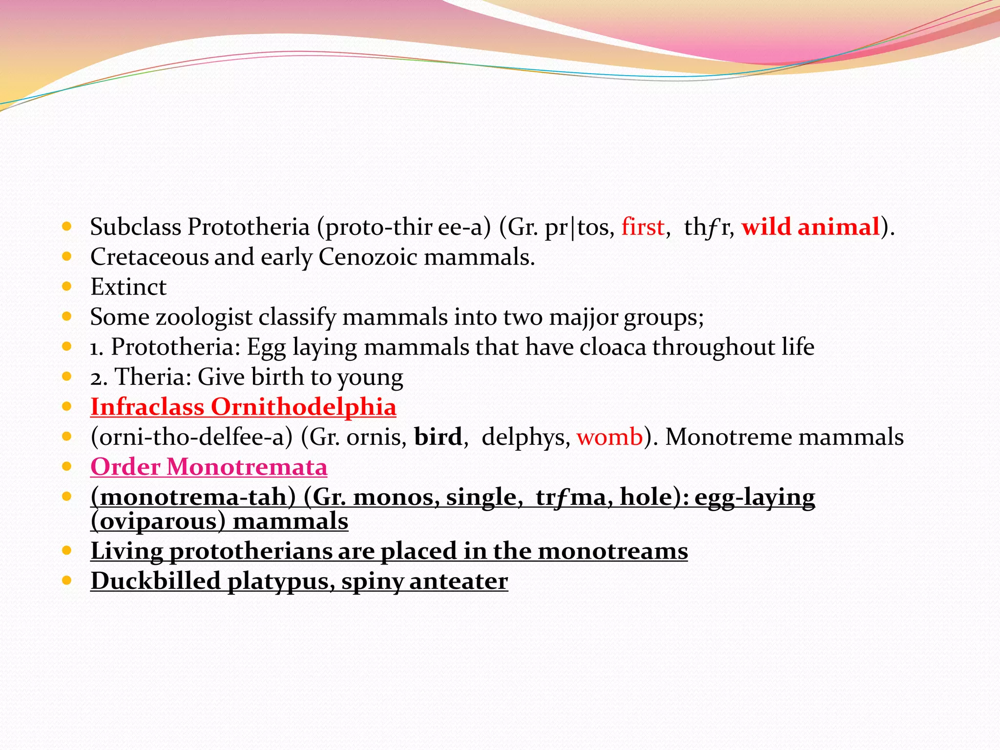 Classification of Mammals | PDF
