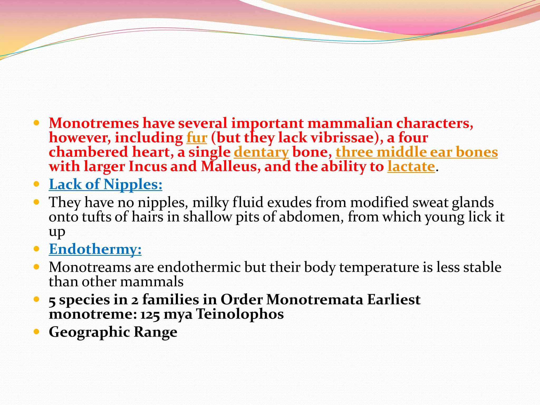 Classification of Mammals | PDF