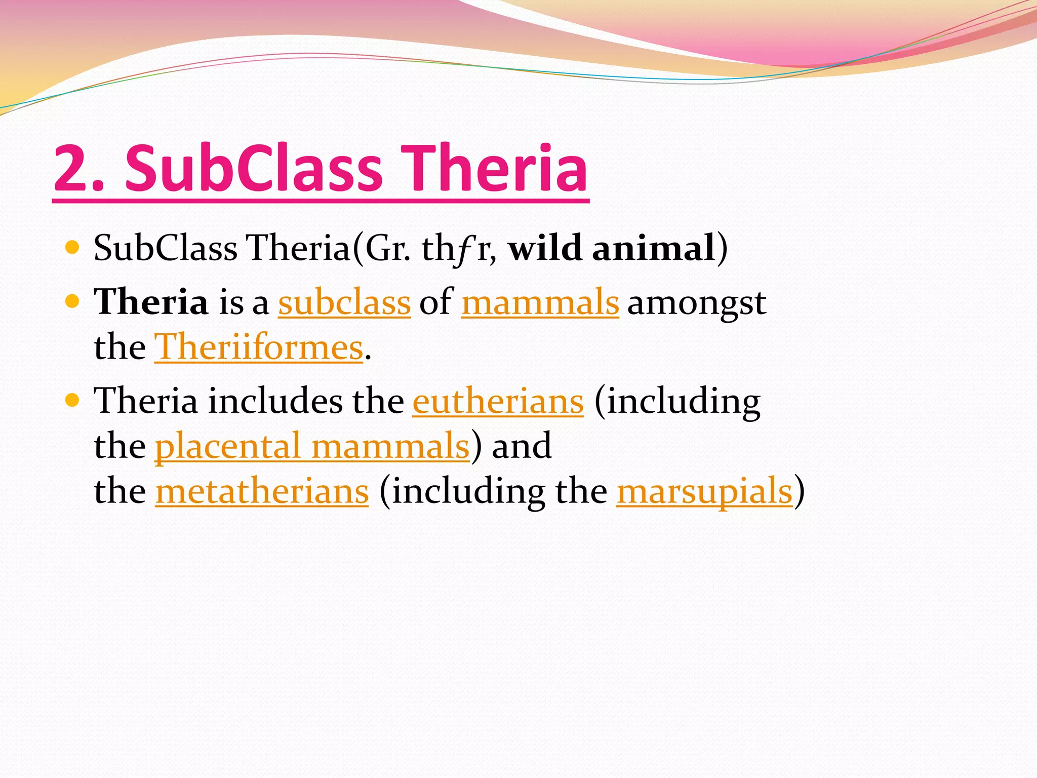 Classification of Mammals | PDF