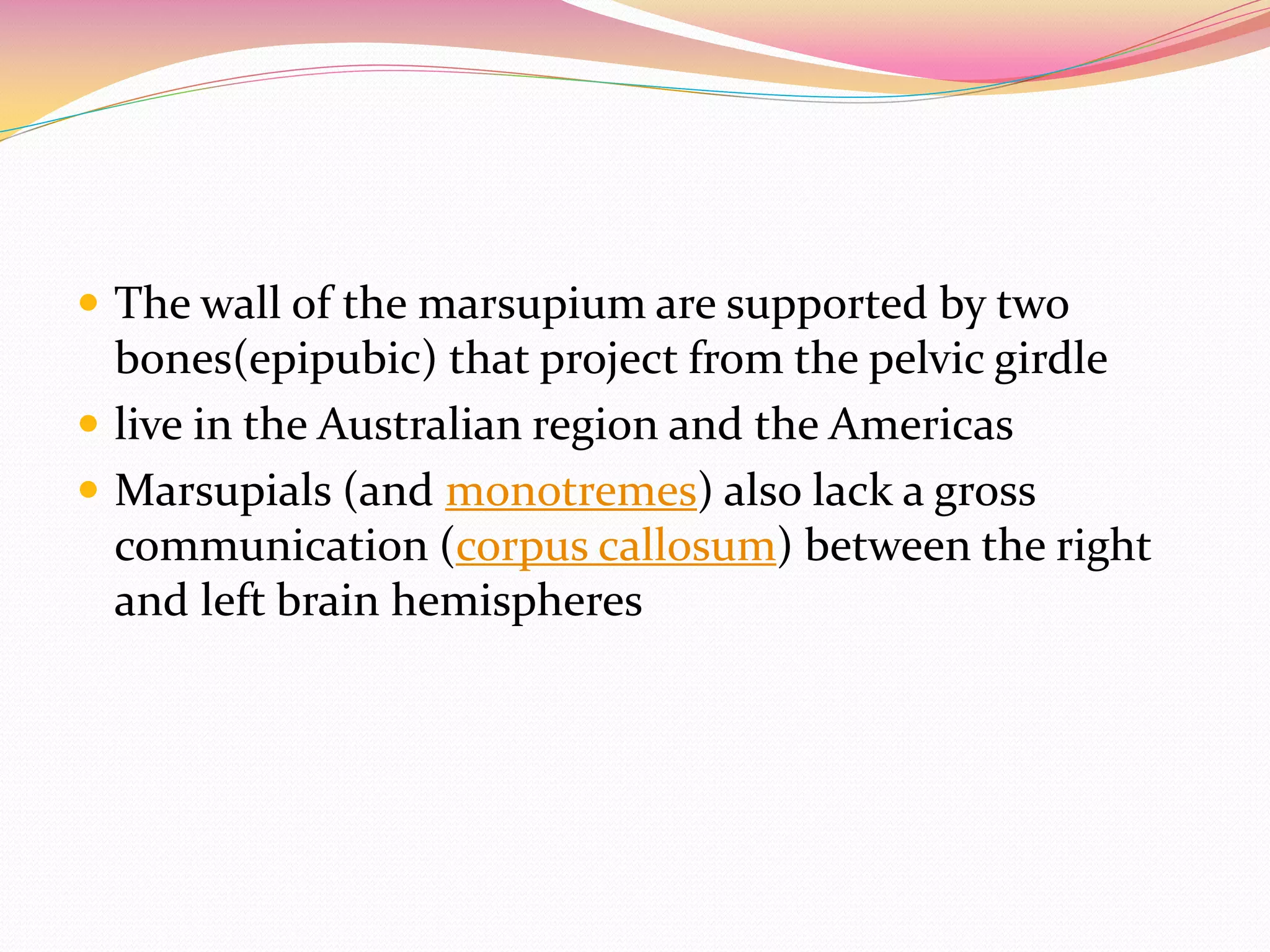 Classification of Mammals | PDF
