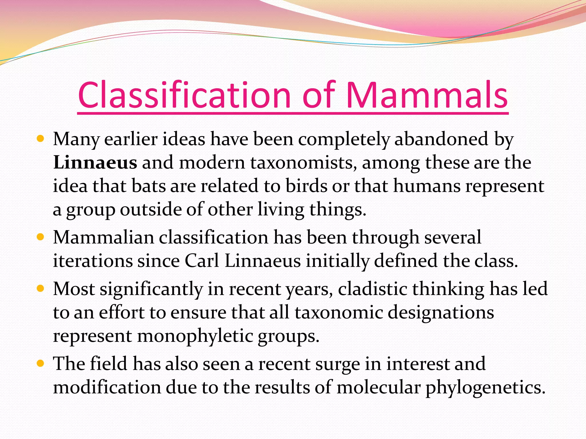 Classification of Mammals | PDF