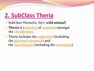 Classification of Mammals | PDF