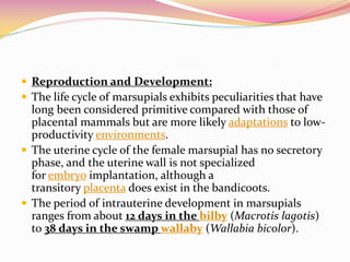 Classification of Mammals | PDF