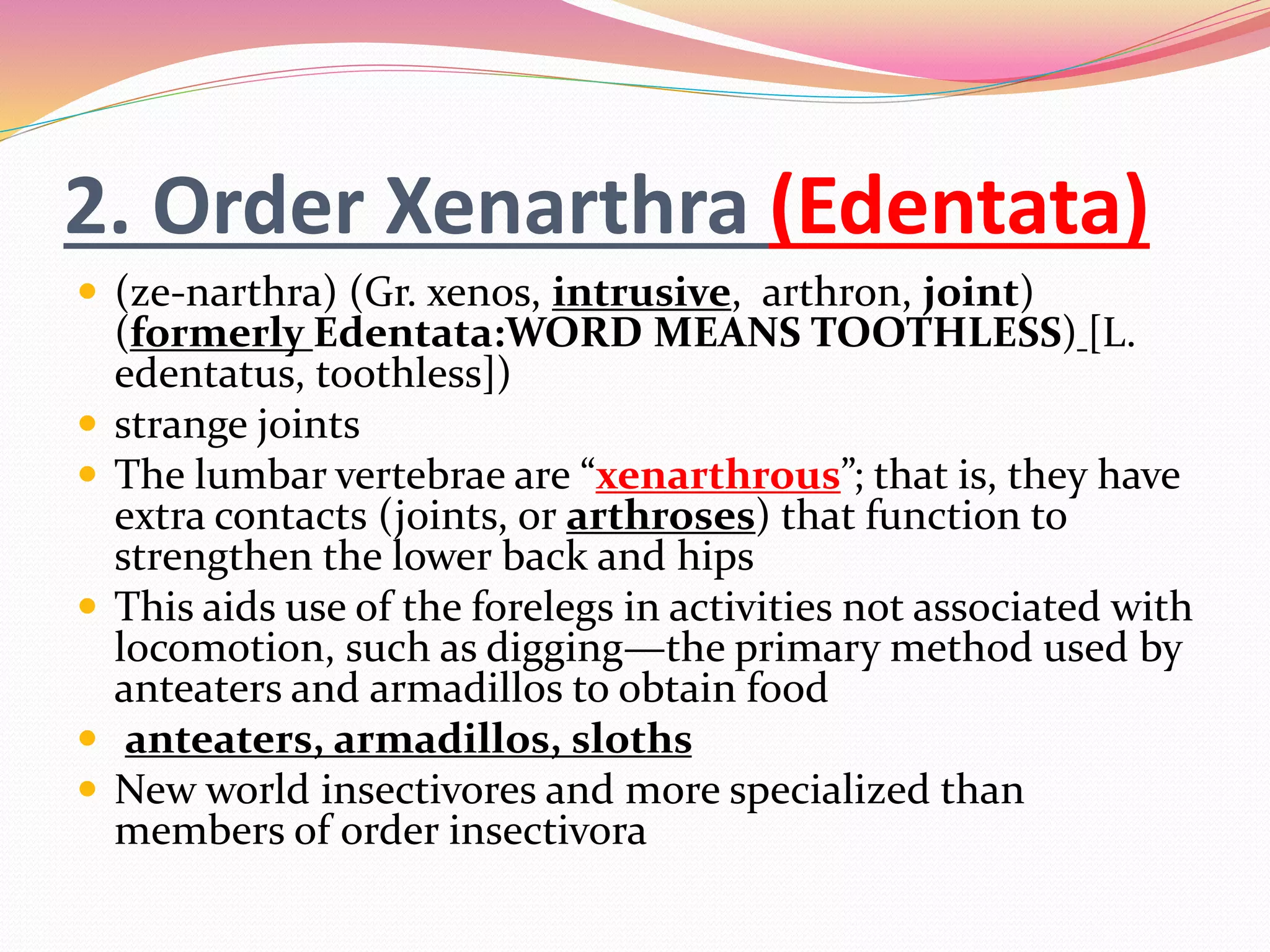 Classification of Mammals | PPTX | Geography | Science