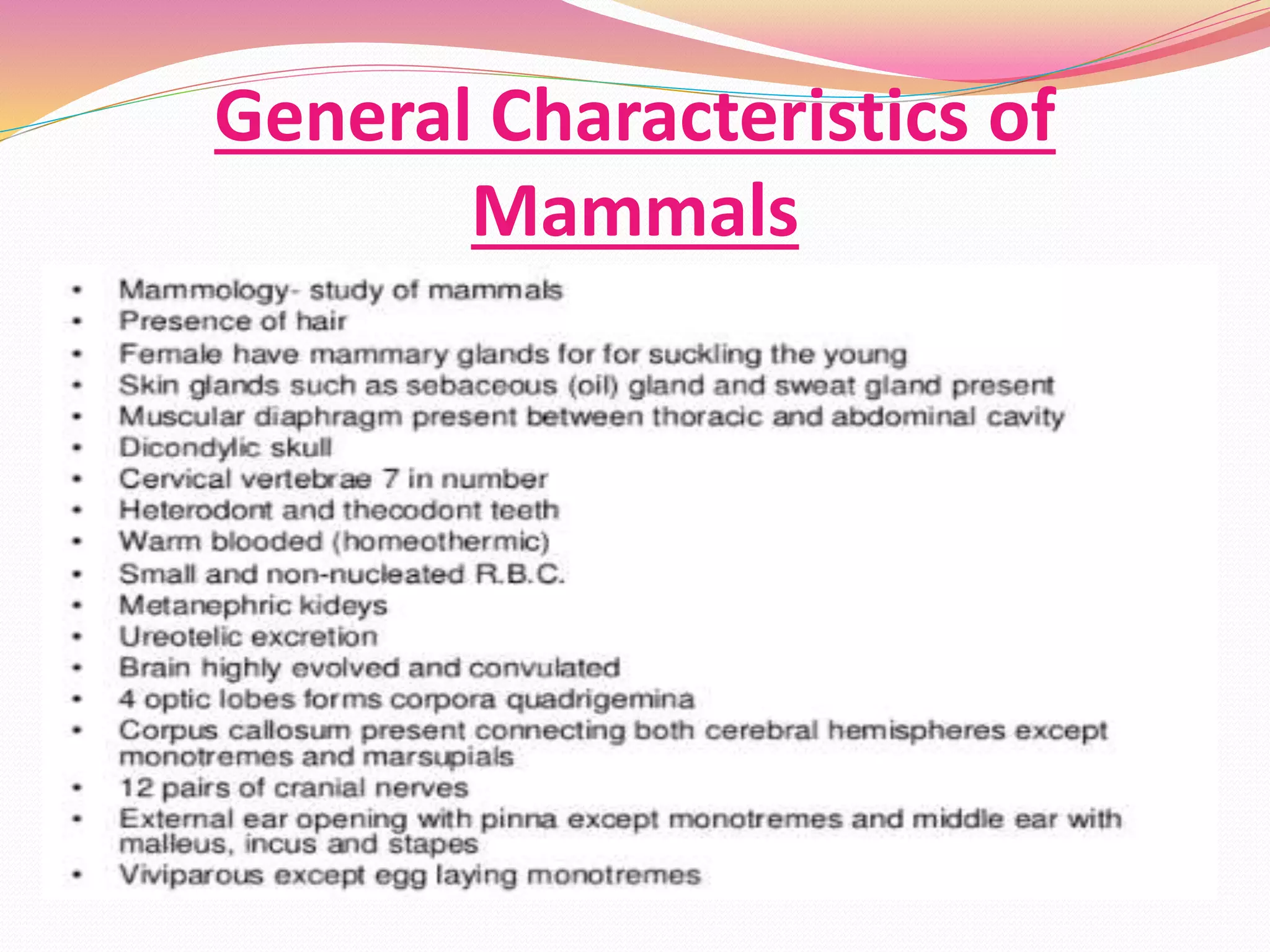 Classification of Mammals | PPTX | Geography | Science