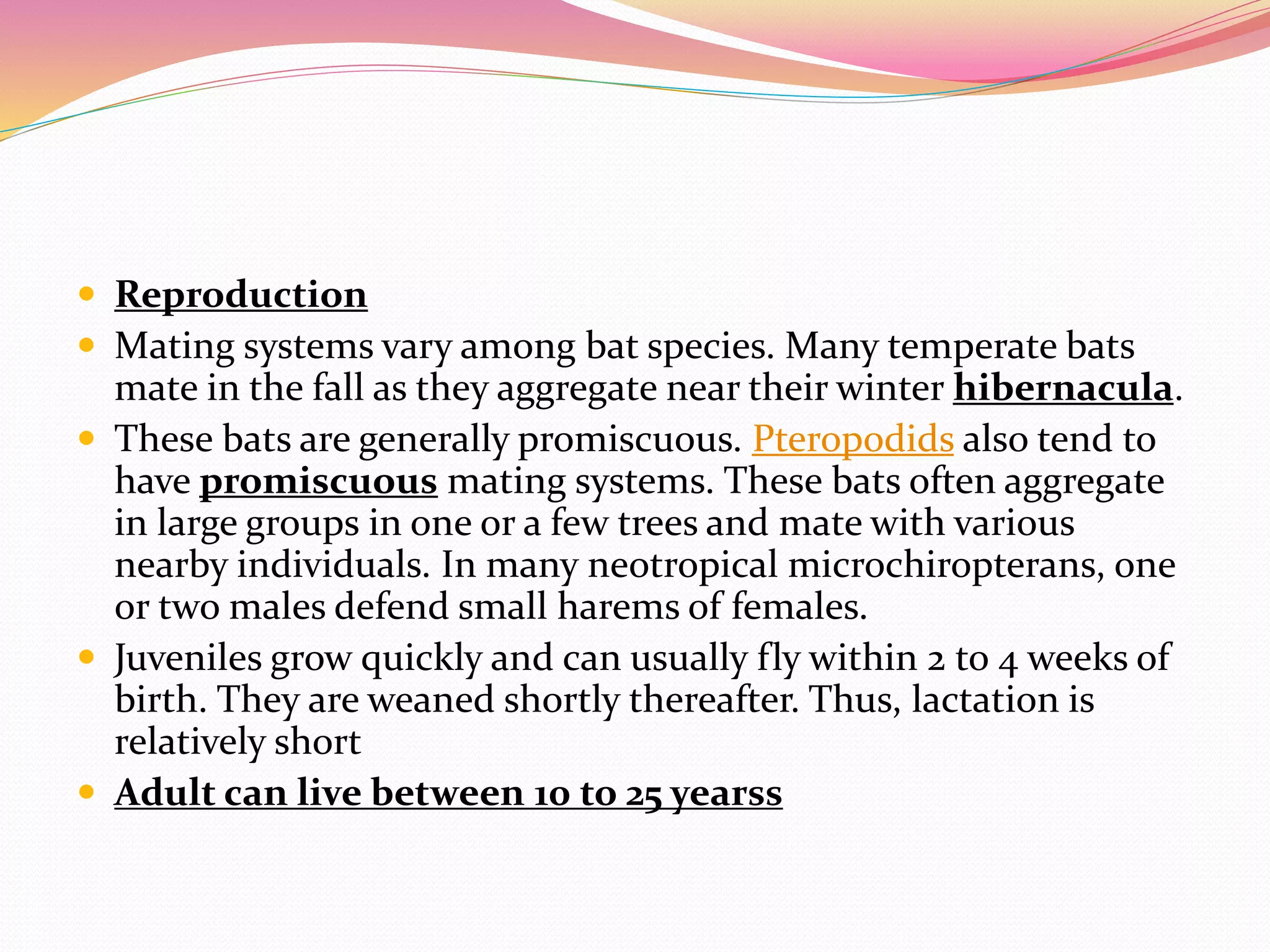 Classification of Mammals | PPTX