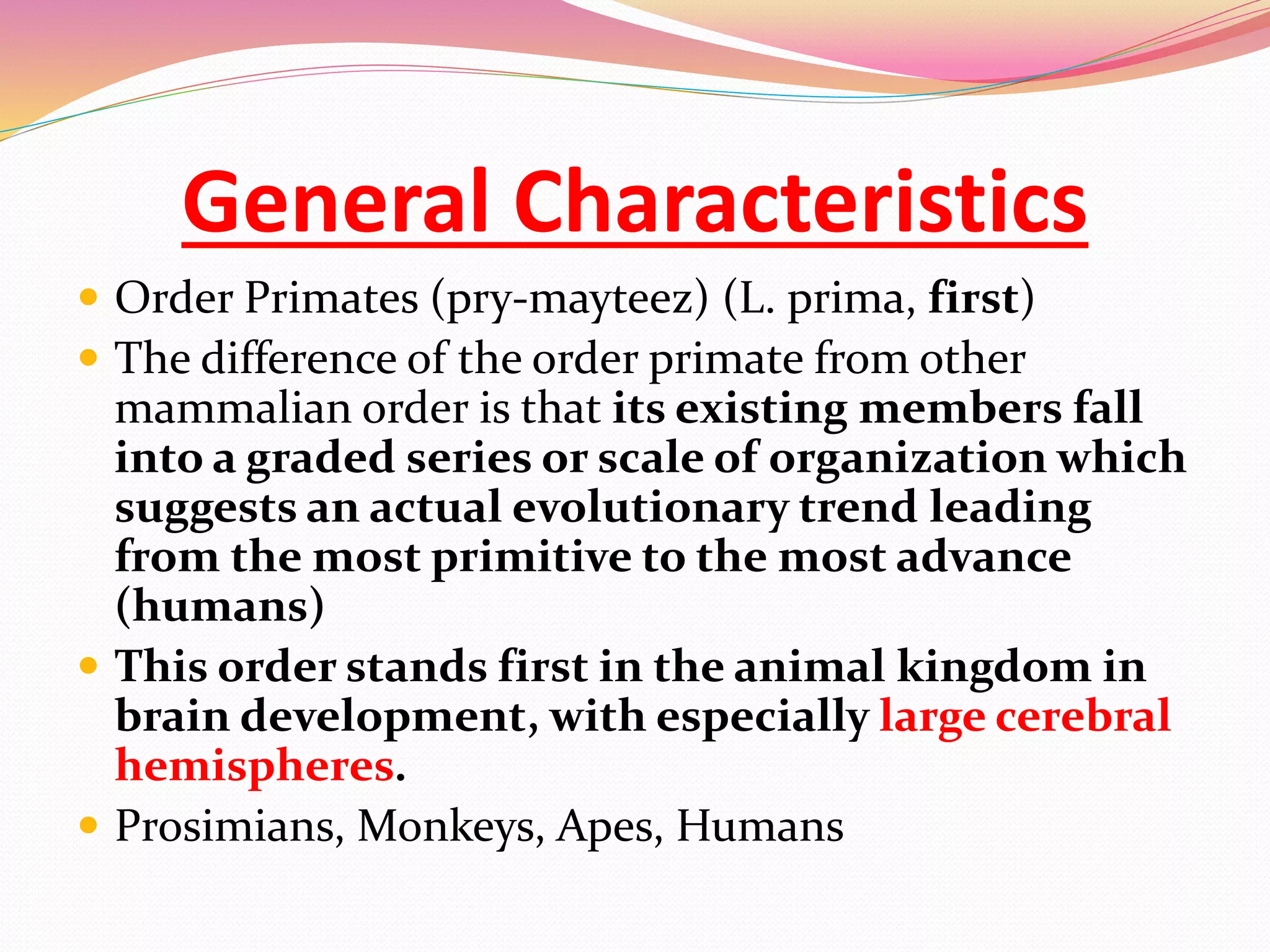 Classification of Mammals | PPTX