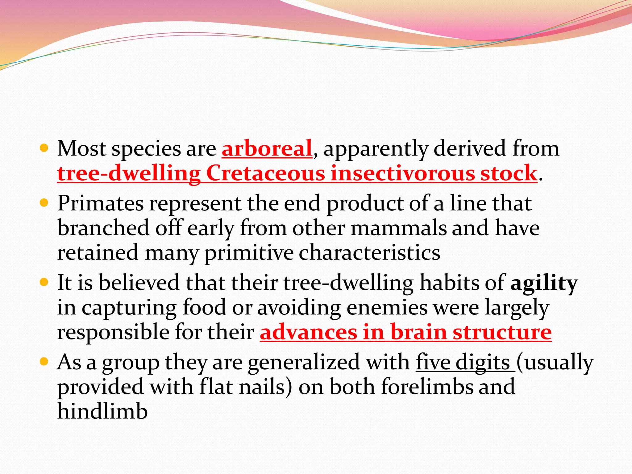 Classification of Mammals | PPTX | Geography | Science