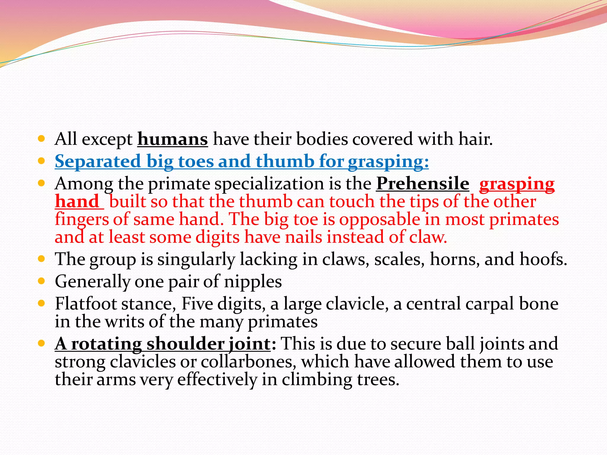 Classification of Mammals | PPTX | Geography | Science