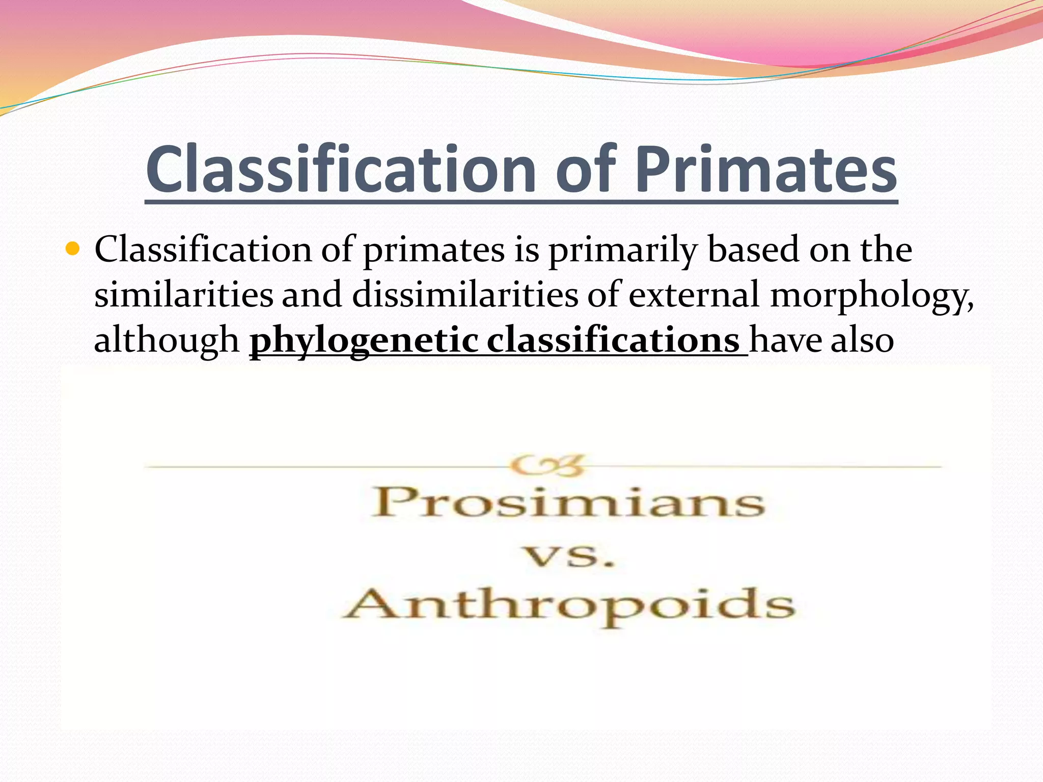 Classification of Mammals | PPTX | Geography | Science