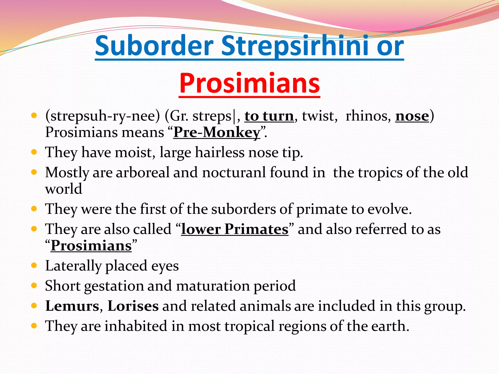 Classification of Mammals | PPTX | Geography | Science