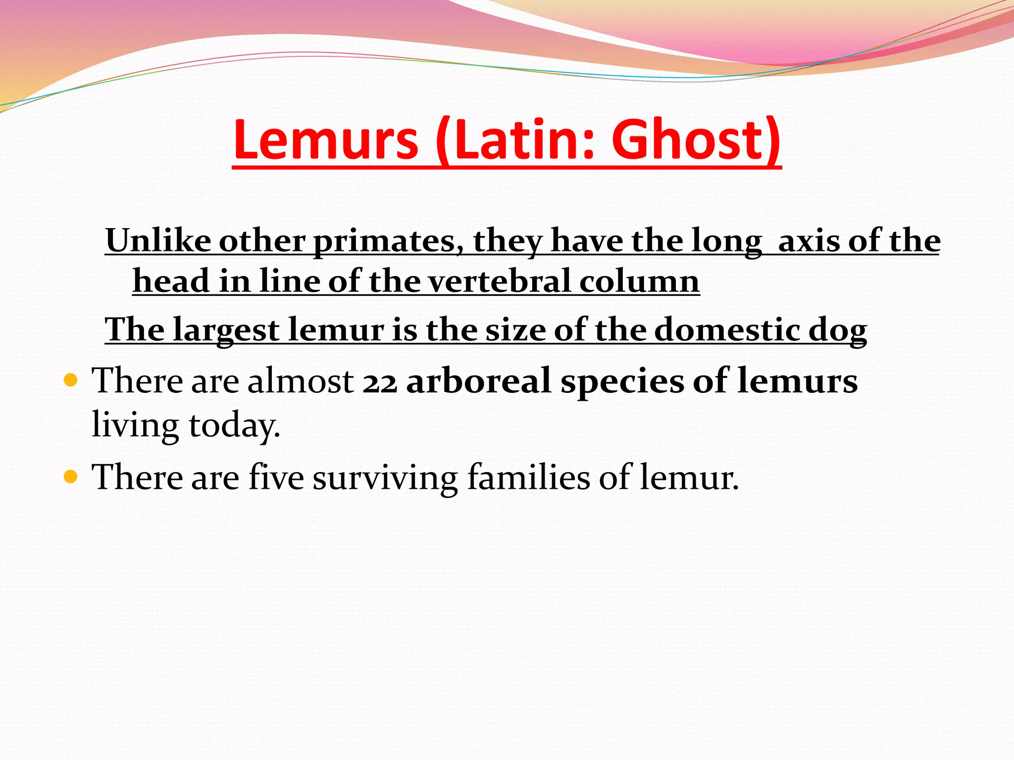 Classification of Mammals | PPTX