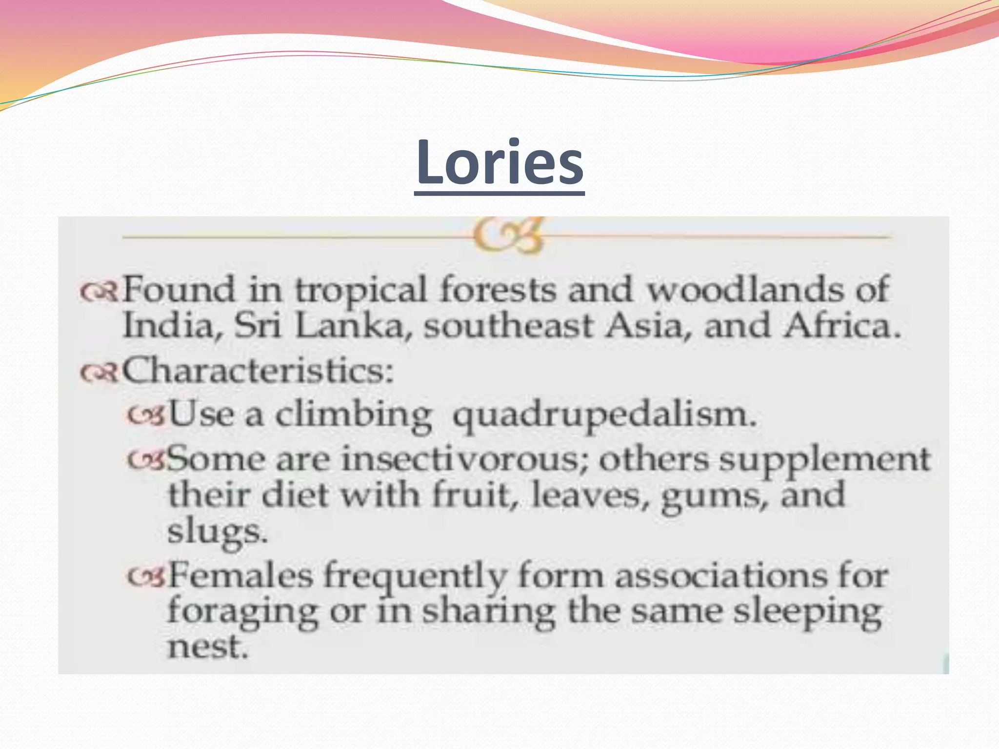 Classification of Mammals | PPTX | Geography | Science