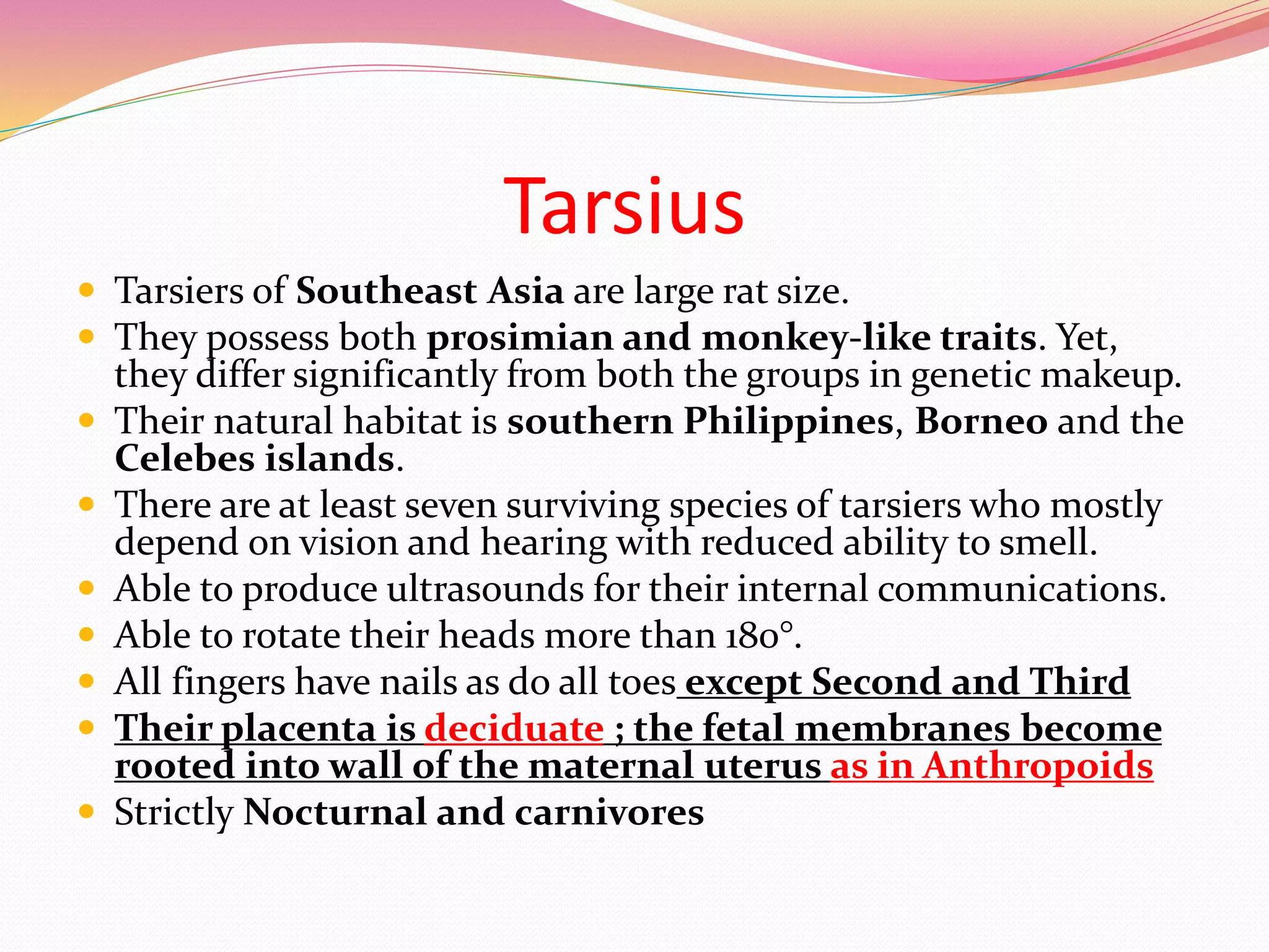 Classification of Mammals | PPTX | Geography | Science