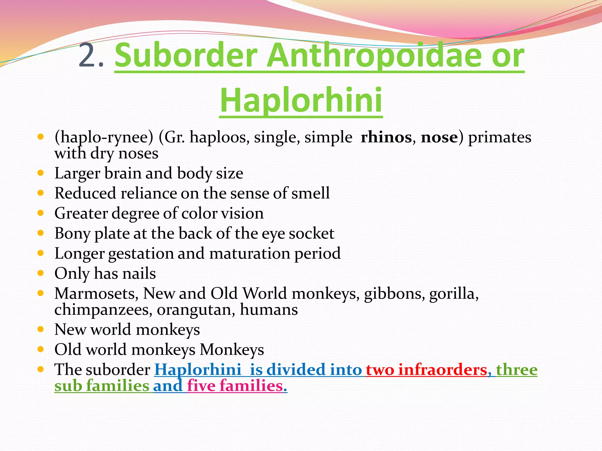 Classification of Mammals | PPTX