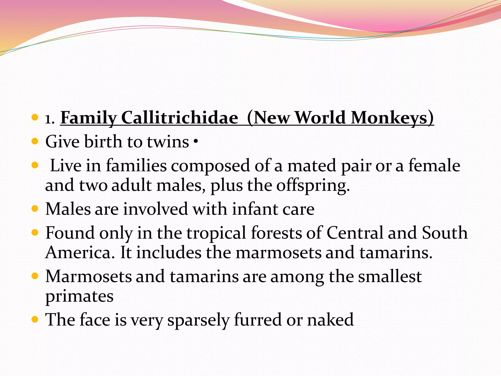 Classification of Mammals | PPTX | Geography | Science