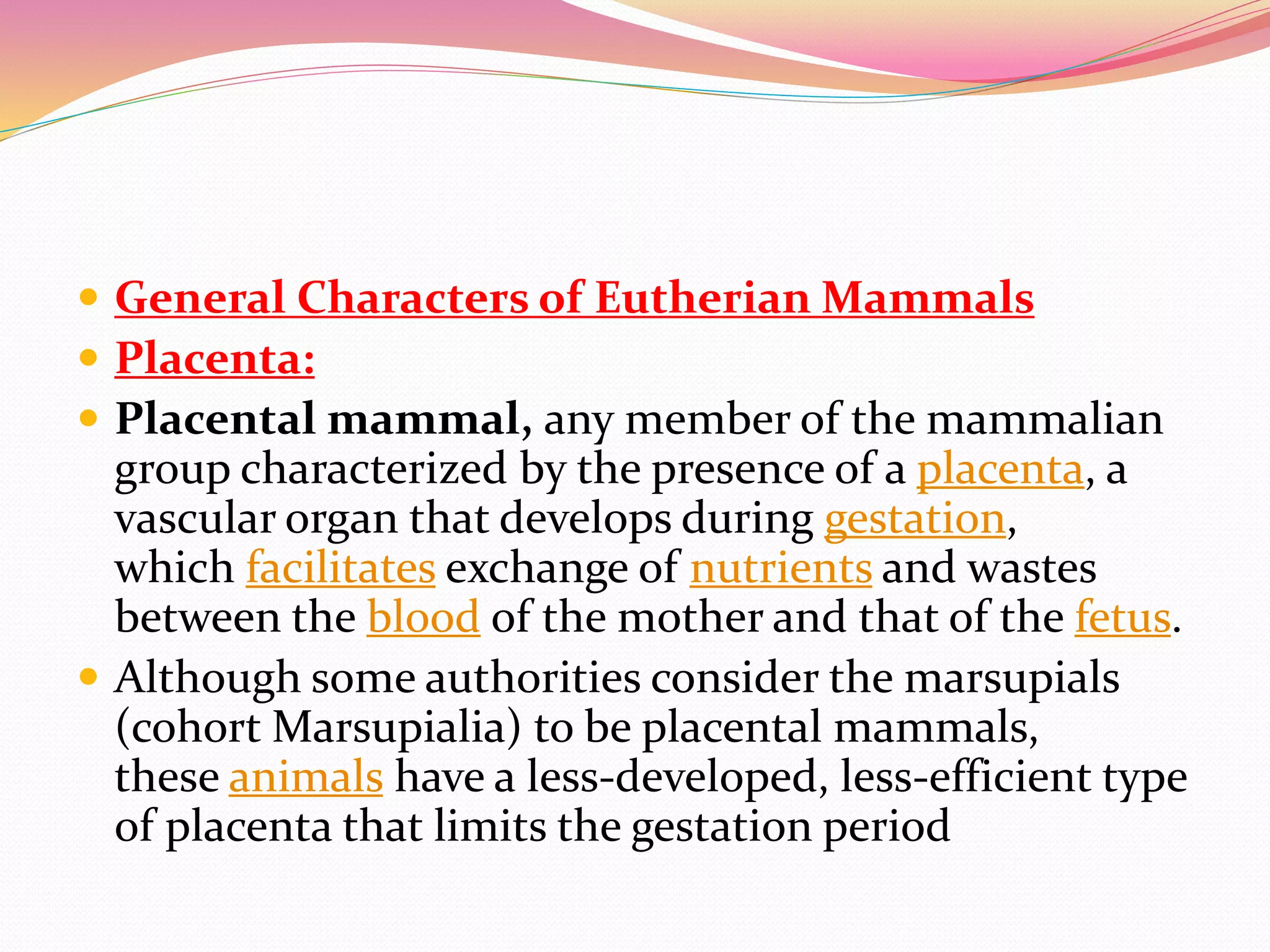 Classification of Mammals | PPTX | Geography | Science