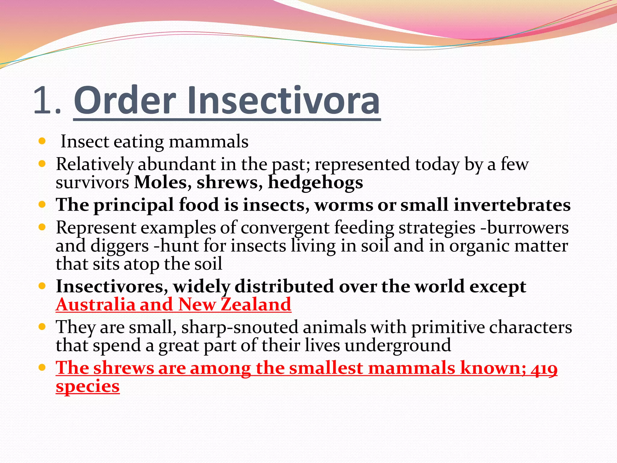 Classification of Mammals | PPTX