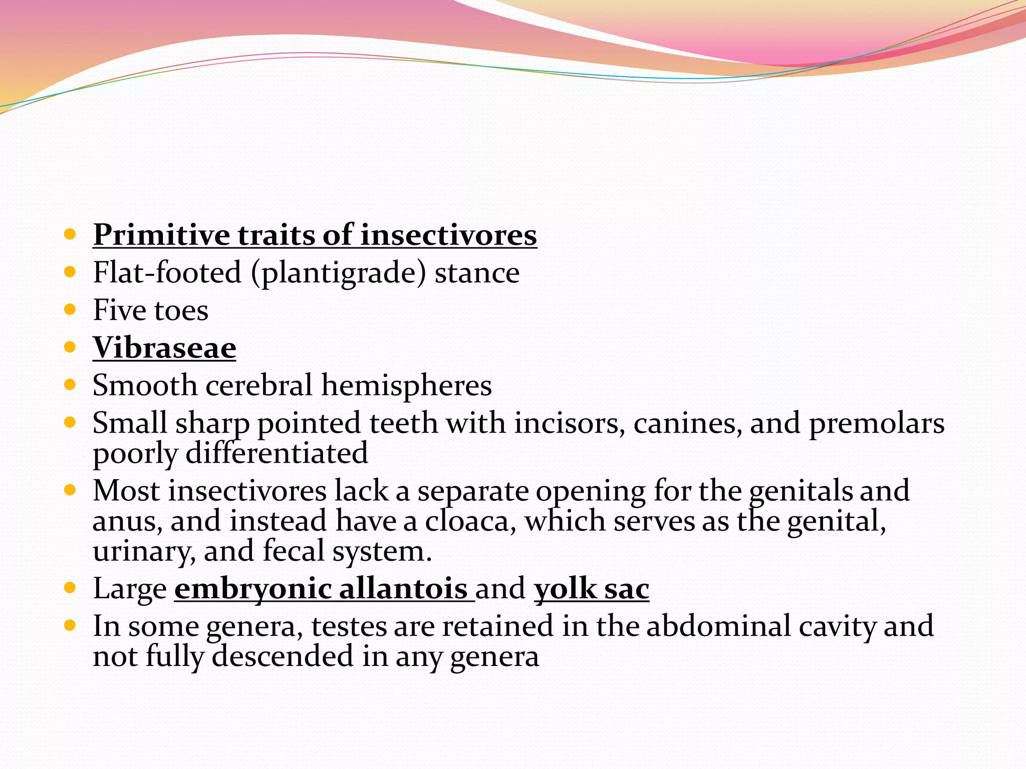 Classification of Mammals | PPTX