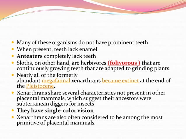 Classification of Mammals | PPTX | Geography | Science