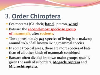 Classification of Mammals | PPTX