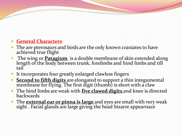 Classification of Mammals | PPTX | Geography | Science