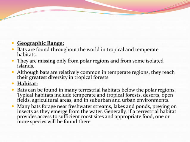 Classification of Mammals | PPTX | Geography | Science