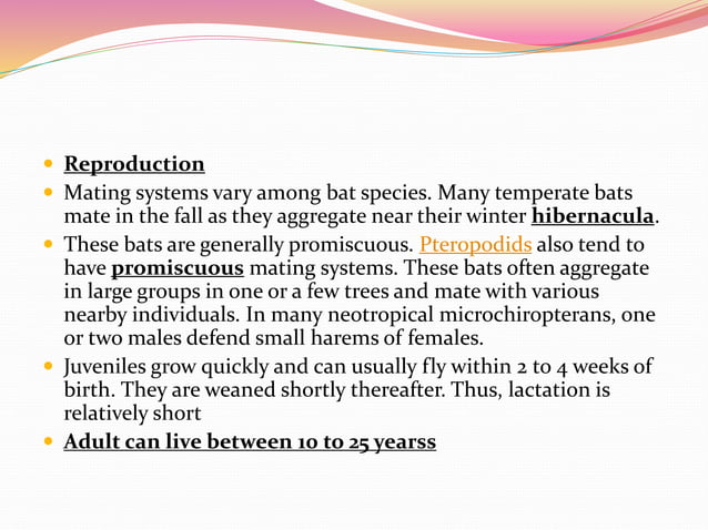 Classification of Mammals | PPTX | Geography | Science