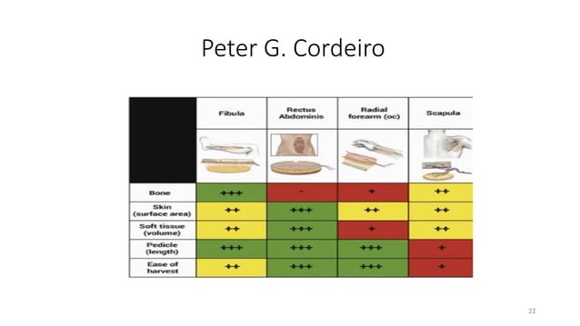 Classification of mandibular defects | PDF | Bone and Joint Conditions ...