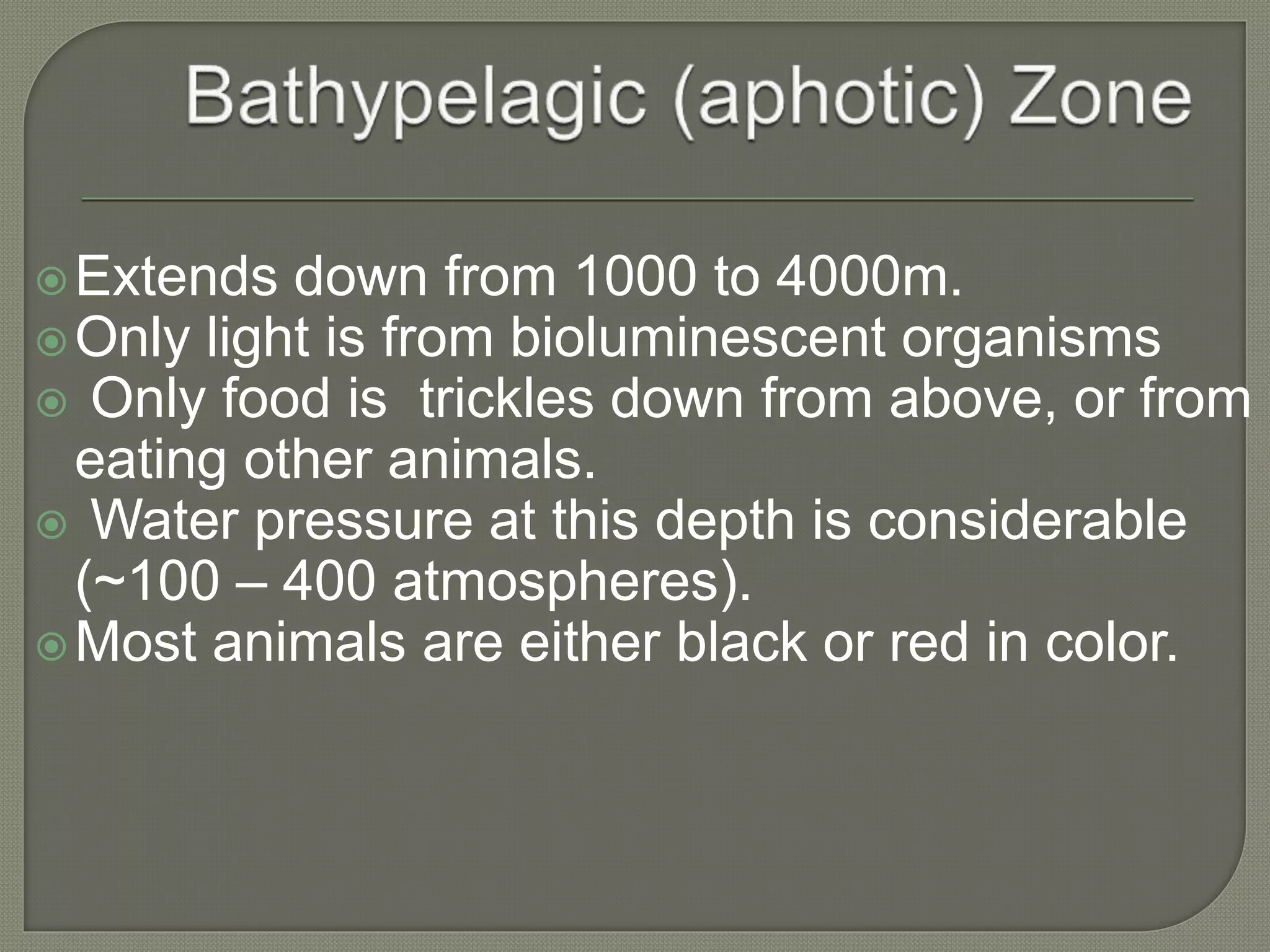 Classification of marine environment ppt | PPTX