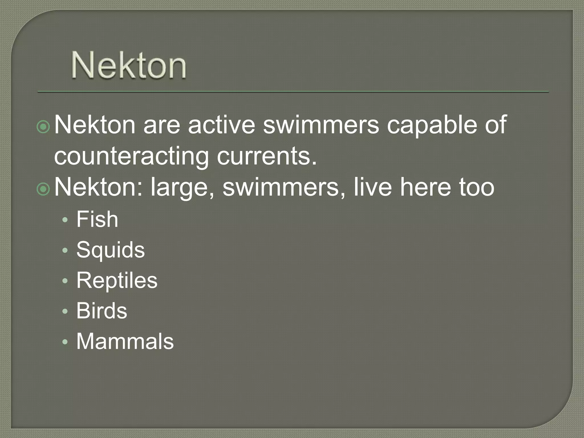 Classification of marine environment ppt | PPTX