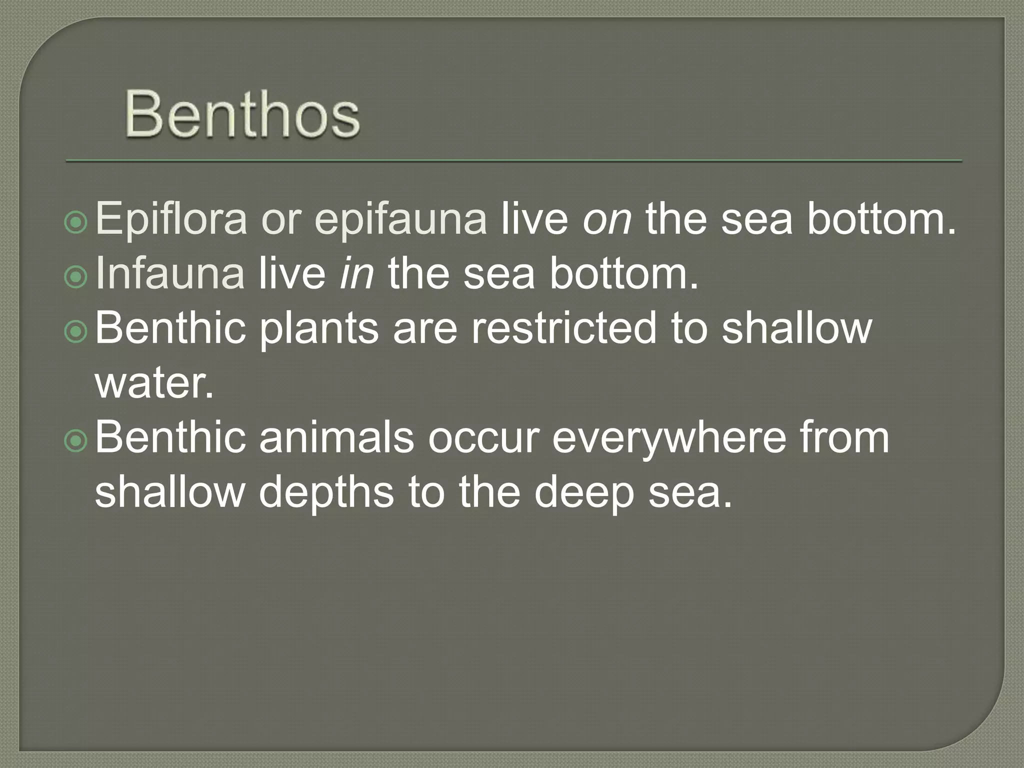 Classification of marine environment ppt | PPTX