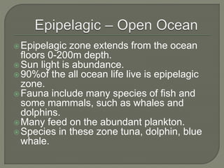 Classification of marine environment ppt | PPTX