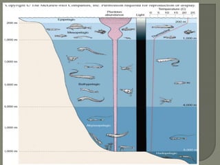 Classification of marine environment ppt | PPTX