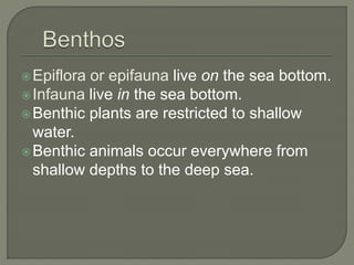 Classification of marine environment ppt | PPTX