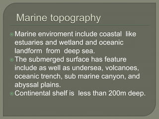 Classification of marine environment ppt | PPTX