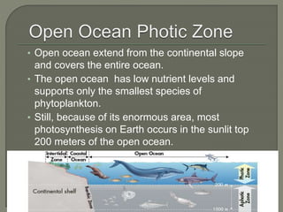 Classification of marine environment ppt | PPTX