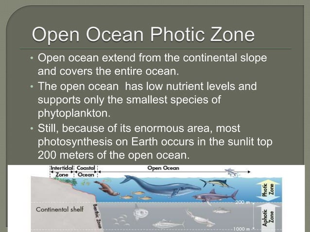 Classification of marine environment ppt | PPTX