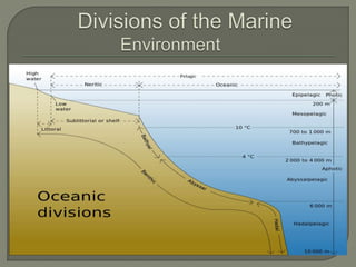 Classification of marine environment ppt | PPTX