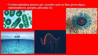 Classification of Marine Environment.pptx