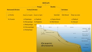 Classification of Marine Environment.pptx
