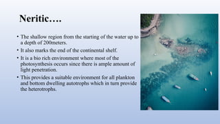 Classification of Marine Environment.pptx