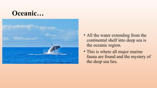 Classification of Marine Environment.pptx