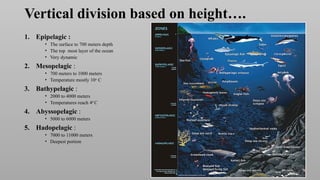 Classification of Marine Environment.pptx