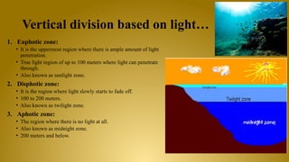 Classification of Marine Environment.pptx