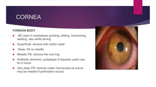 OCULAR TRAUMA - Classification of mechanical injuries, clinical ...